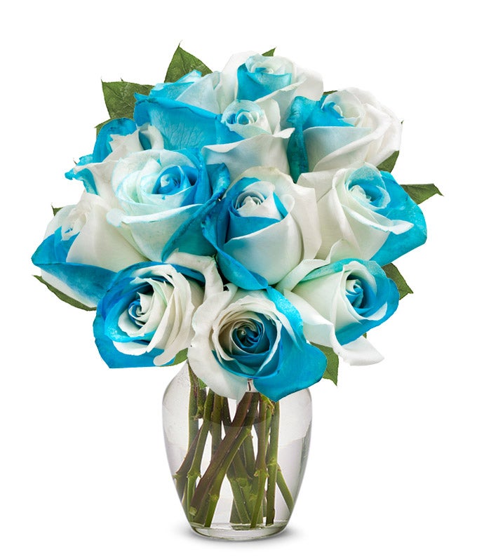 One Dozen Baby Blue Swirled Roses at From You Flowers