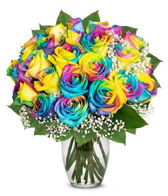 Two Dozen Wild Rainbow Apology Roses at From You Flowers