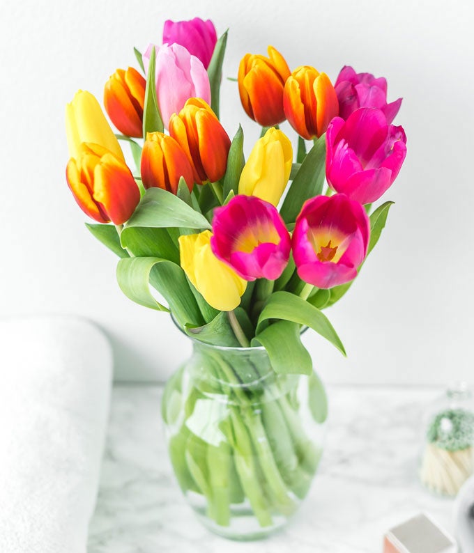 Rainbow Tulip Bouquet - 15 Stems at From You Flowers