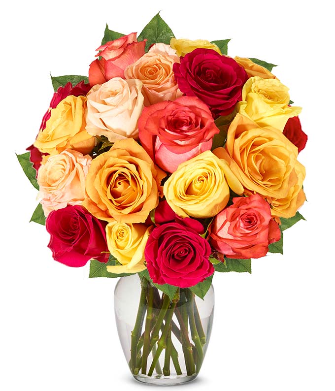 One and a Half Dozen Boo-tiful Halloween Roses at From You Flowers
