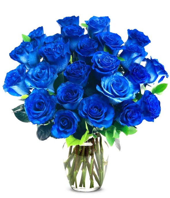 Two Dozen Blue Jewel Roses at From You Flowers