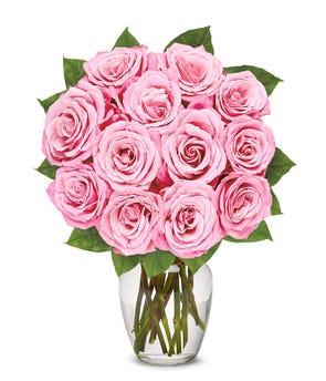 One Dozen Light Pink Roses at From You Flowers