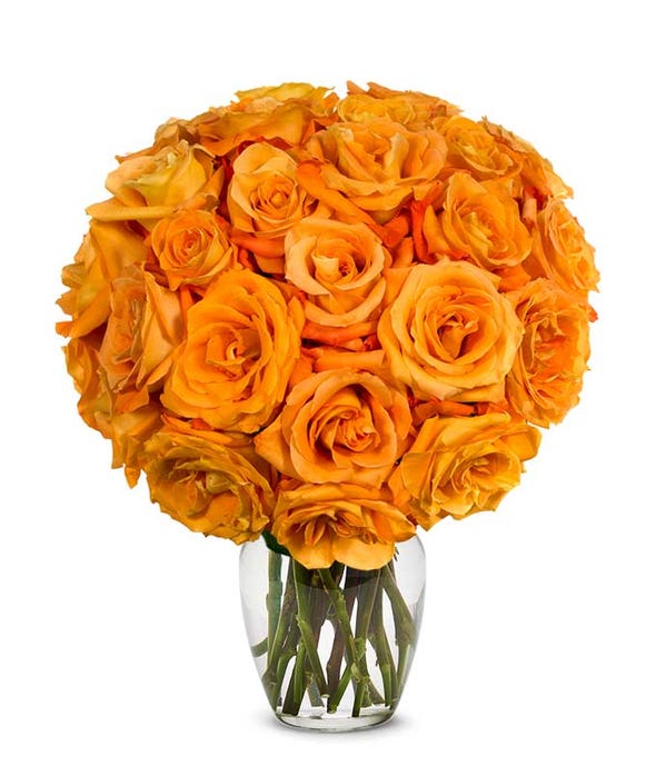 Two Dozen Orange Roses at From You Flowers