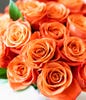 Two Dozen Orange Roses at From You Flowers