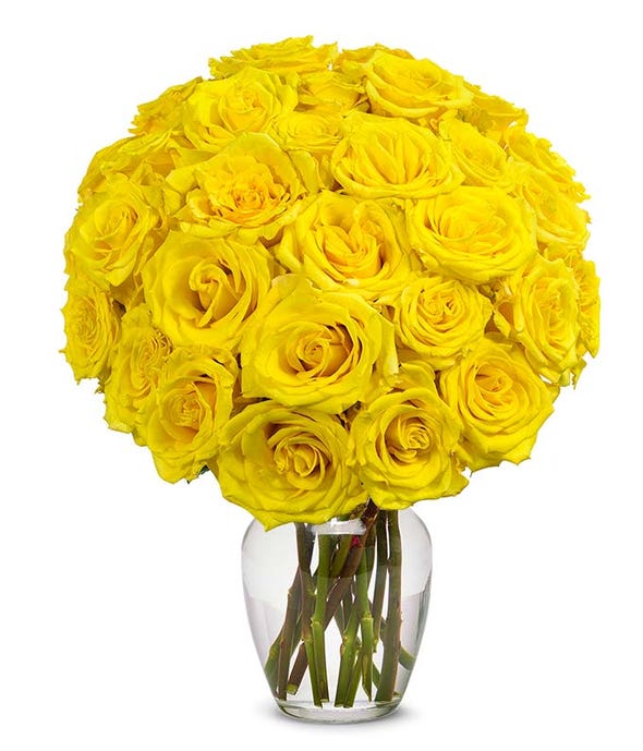 Two Dozen Yellow Roses at From You Flowers