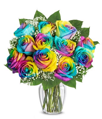 One Dozen Pride Roses at From You Flowers