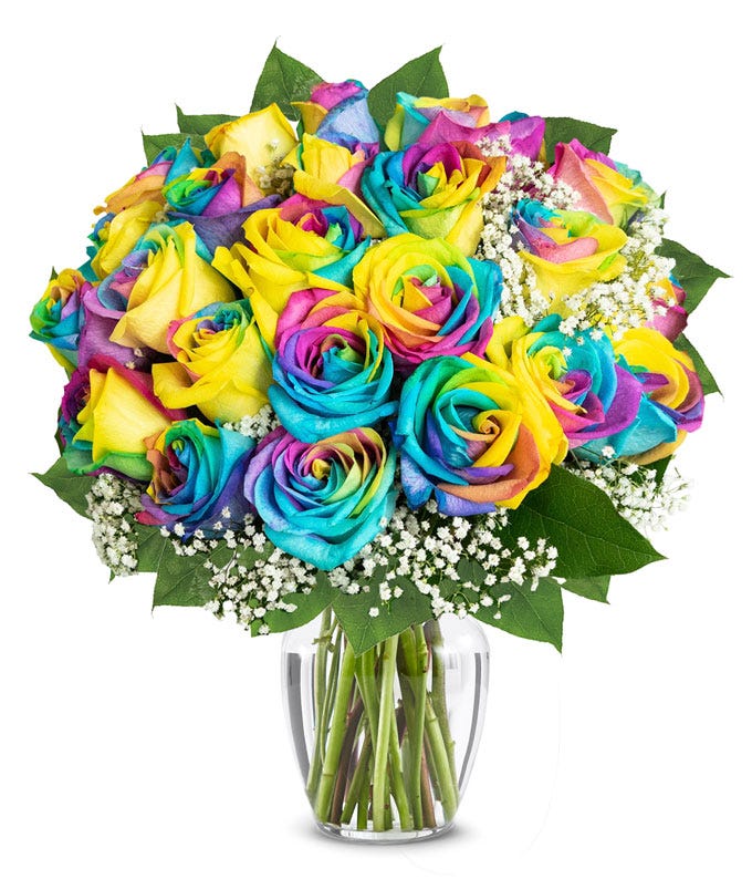 Two Dozen Pride Roses at From You Flowers