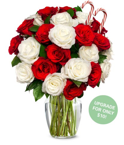 One Dozen Mother's Day Rainbow Roses at From You Flowers