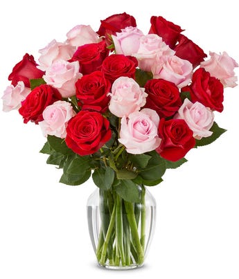 Two Dozen Red & Pink Roses at From You Flowers