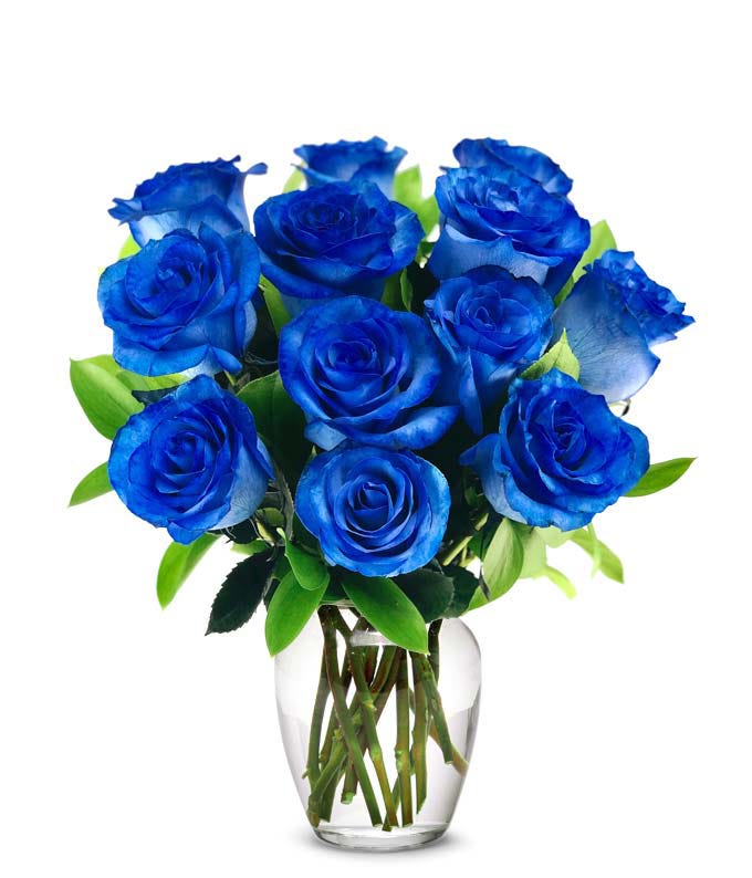 One Dozen Blue Roses in Clear Glass Vase at From You Flowers