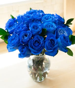 Two Dozen Long Stem Blue Roses in Clear Glass Vase at From You Flowers