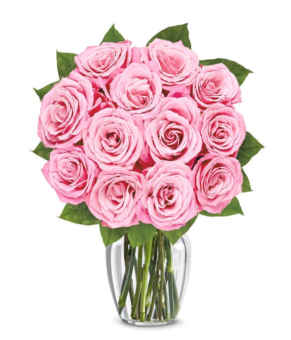 One Dozen Light Pink Breast Cancer Awareness Roses at From You Flowers