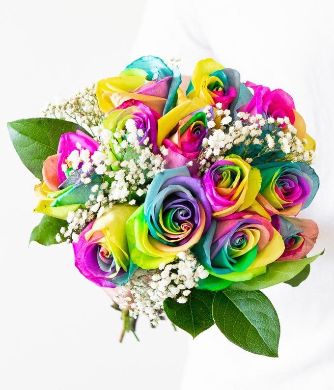 One Dozen Wild Rainbow Roses at From You Flowers