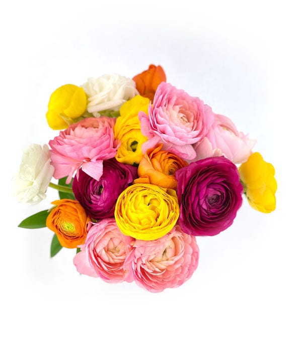 Rainbow Ranunculus at From You Flowers