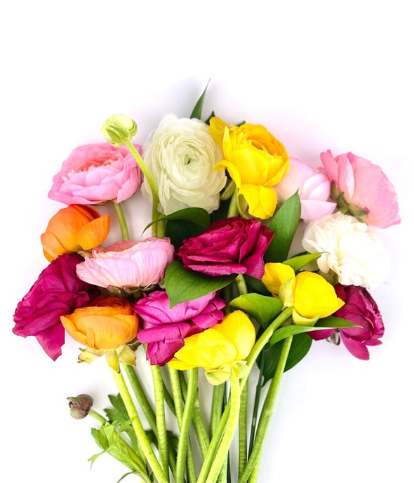 Rainbow Ranunculus at From You Flowers