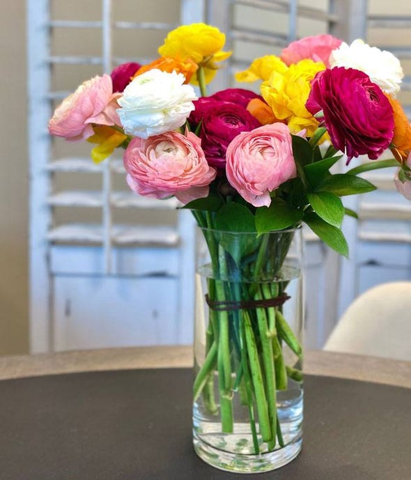 Rainbow Ranunculus at From You Flowers