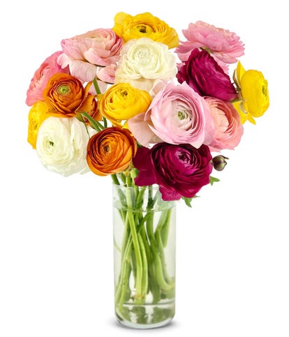 Rainbow Ranunculus at From You Flowers
