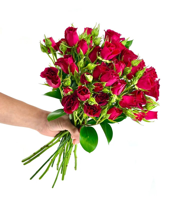 Red Mini Spray Roses - 10 Stem at From You Flowers
