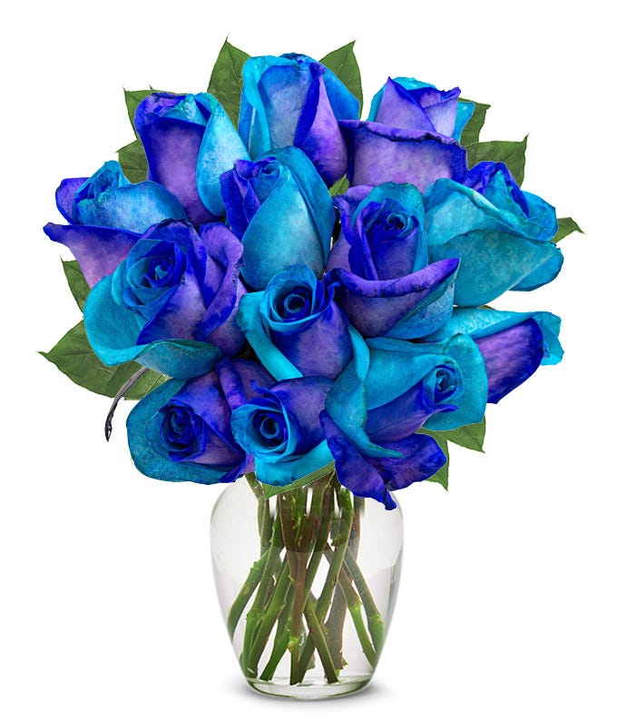 One Dozen Ocean Blue Roses at From You Flowers