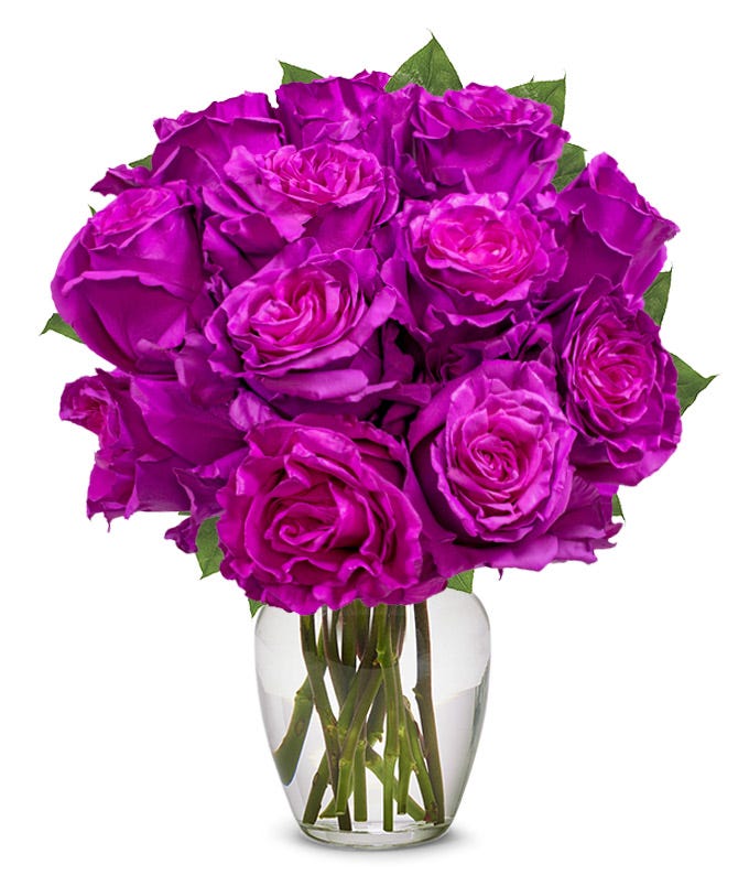 One Dozen Magenta Roses at From You Flowers