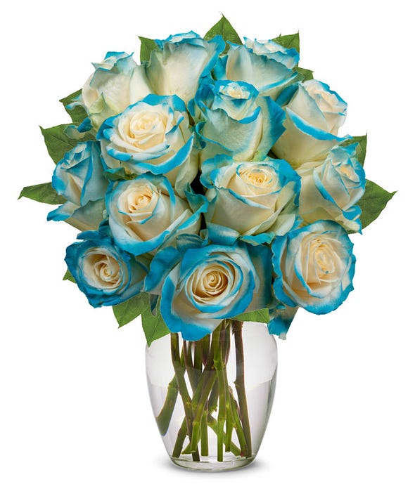 One Dozen Aquamarine Roses at From You Flowers