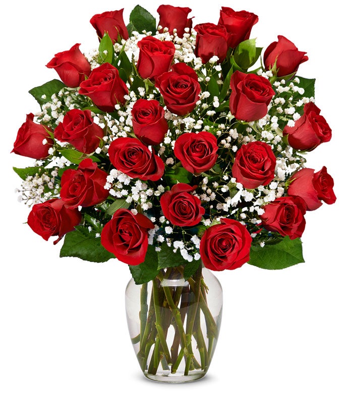 Two Dozen Red Roses at From You Flowers