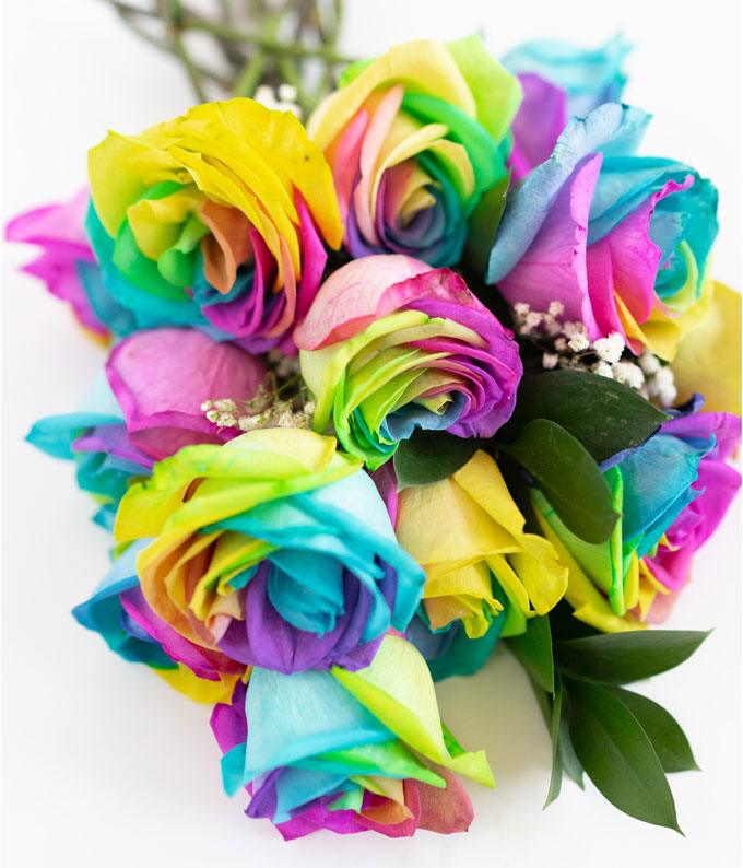 One Dozen Wild Rainbow Roses at From You Flowers