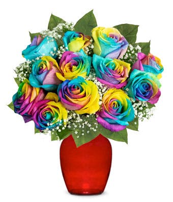 One Dozen Wild Rainbow Roses at From You Flowers