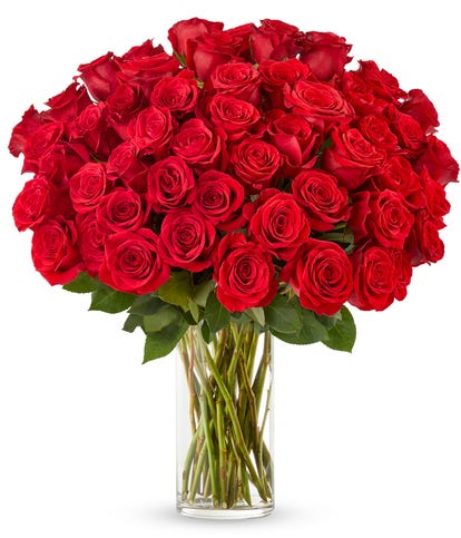 50 Stunning Long Stemmed Red Roses at From You Flowers