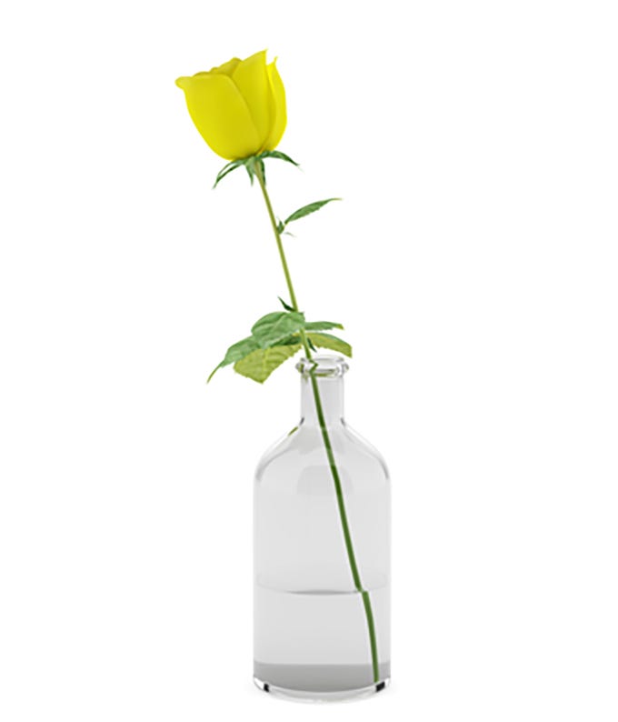 Single Yellow Rose Delivery at From You Flowers