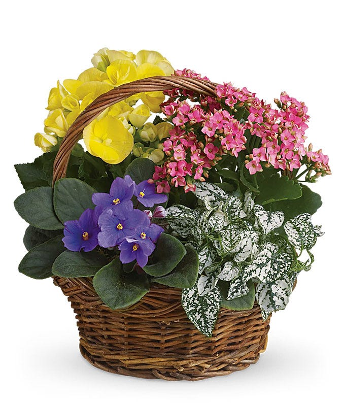 Spring Floral Basket at From You Flowers