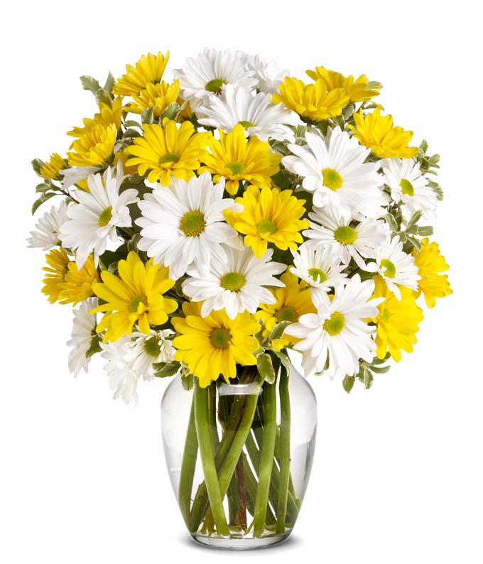 Upsy Daisy at From You Flowers