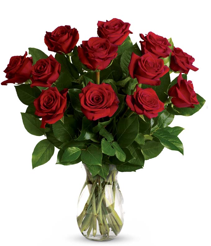Classic Romance Red Roses - One Dozen at From You Flowers