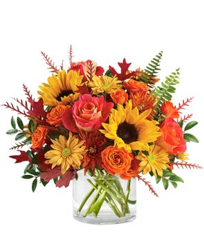 V5752 at From You Flowers
