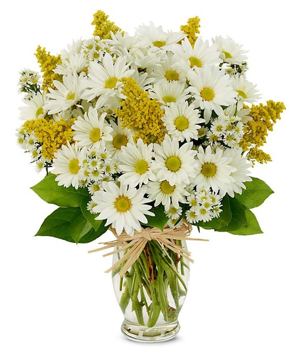 Send Daisies | Daisy Arrangements | FromYouFlowers