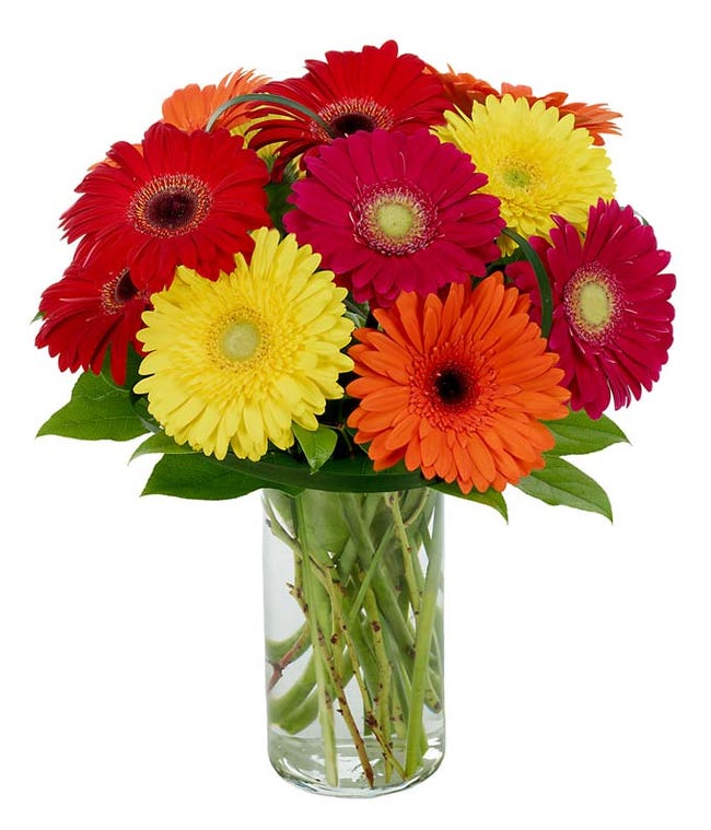 Send Daisies | Daisy Arrangements | FromYouFlowers