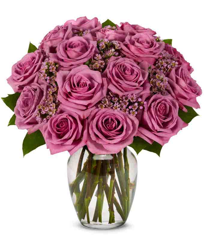 One Dozen Purple Roses at From You Flowers