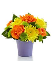 Two Dozen Orange Roses at From You Flowers