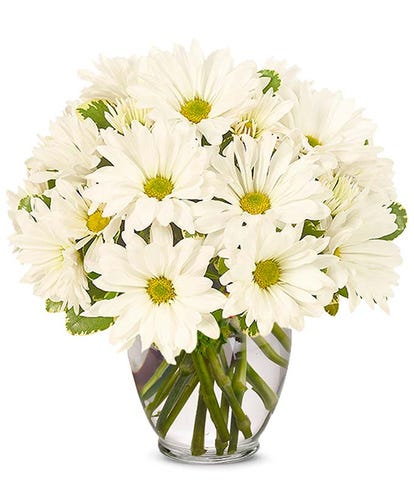 Send Daisies | Daisy Arrangements | FromYouFlowers