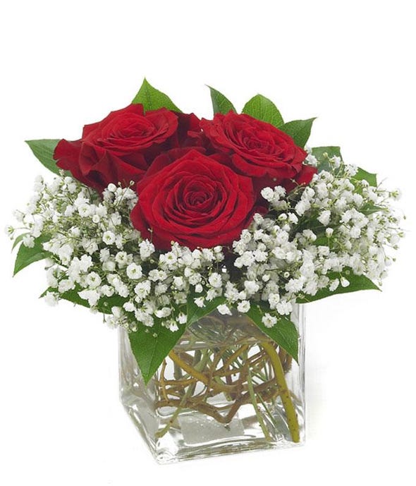 Single Rose | Single Rose Delivery