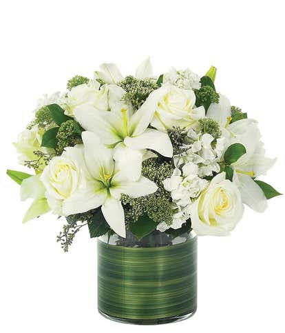 One Dozen White Roses at From You Flowers