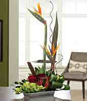 Zen Artistry at From You Flowers