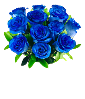 Blue Flower Delivery | Blue Roses