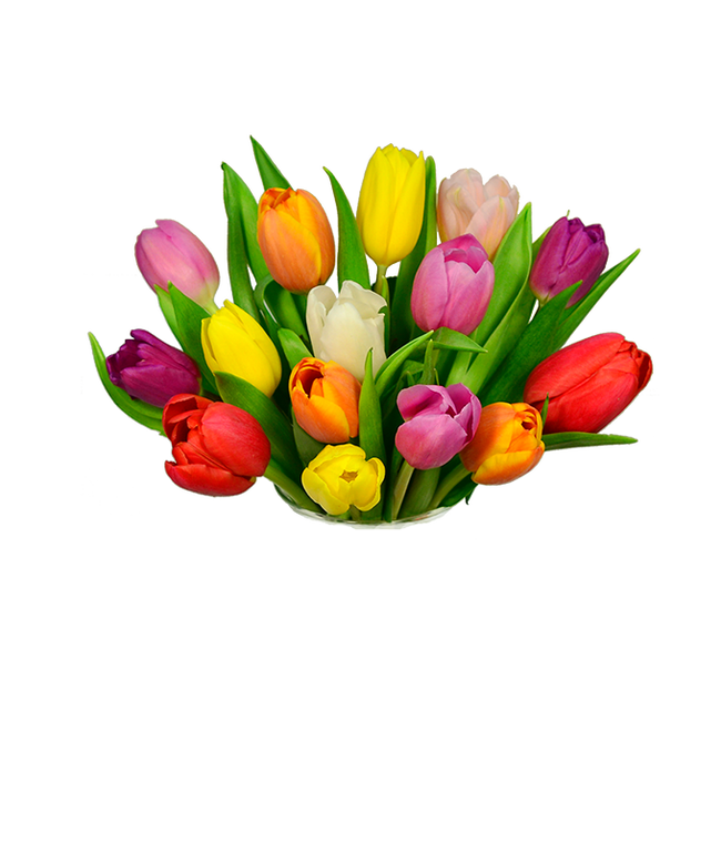 Tulip Bouquets for Delivery - Perfect for Birthday Gifts