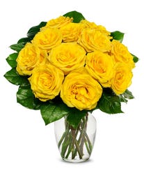 Yellow Roses | Yellow Rose Delivery | FromYouFlowers