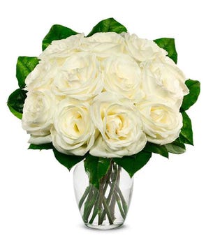 White Roses | Cheap Roses for Delivery | FromYouFlowers
