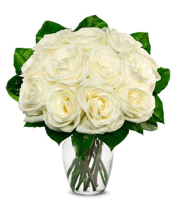 White Roses | Cheap Roses for Delivery | FromYouFlowers