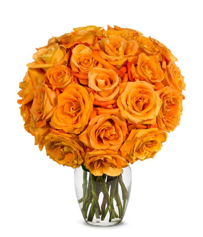 Orange Roses | Orange Rose Delivery | FromYouFlowers