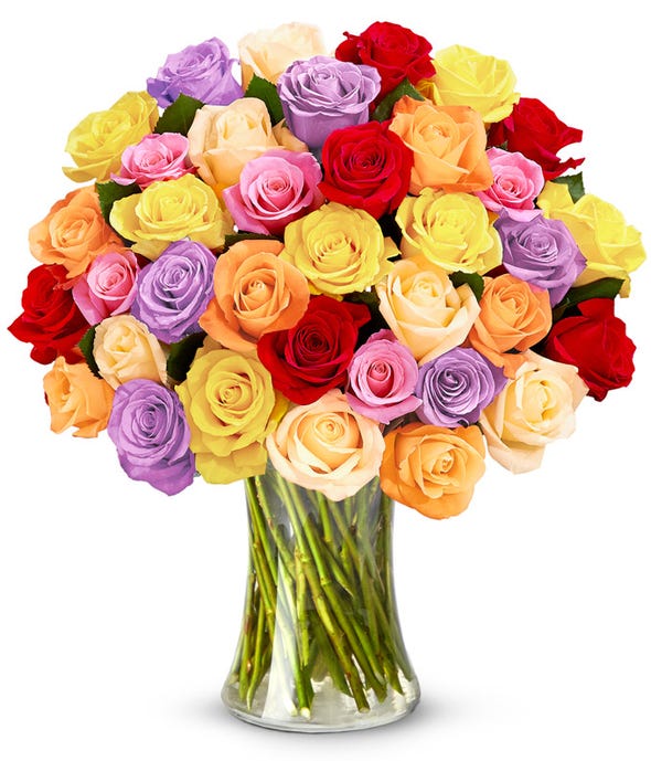Multi Colored Roses | Rose of Every Color