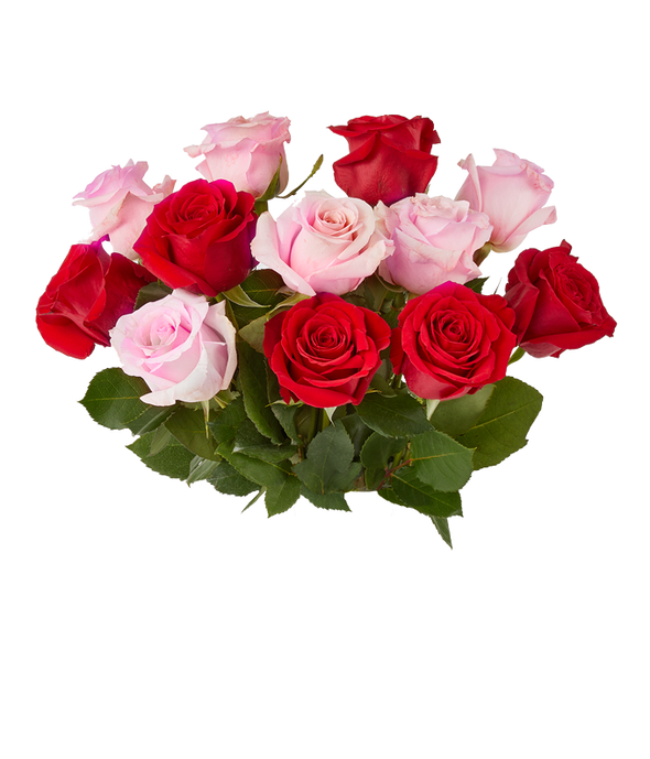 Red Roses for Valentine's Day Delivery - FromYouFlowers